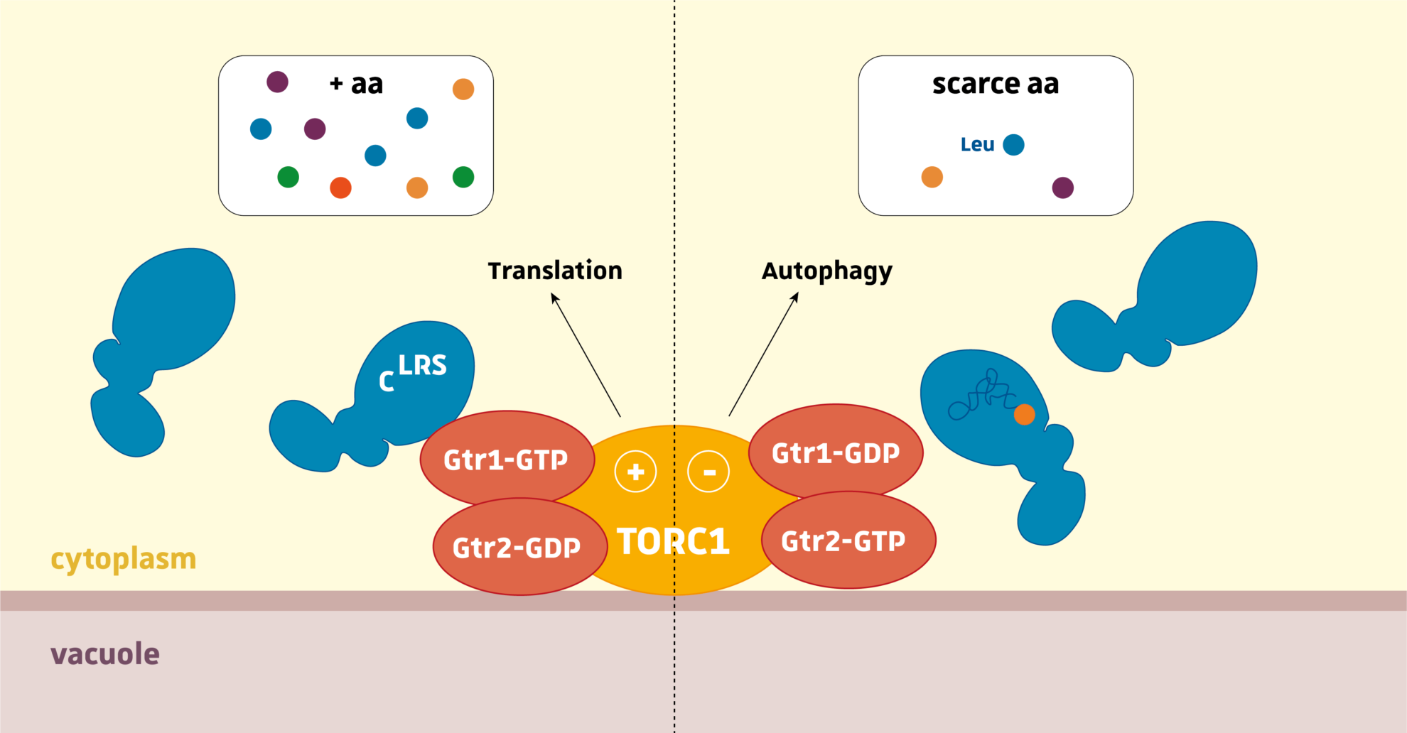 Welcome to our new PhD students 2022-2023 - Part II | IMCBIO