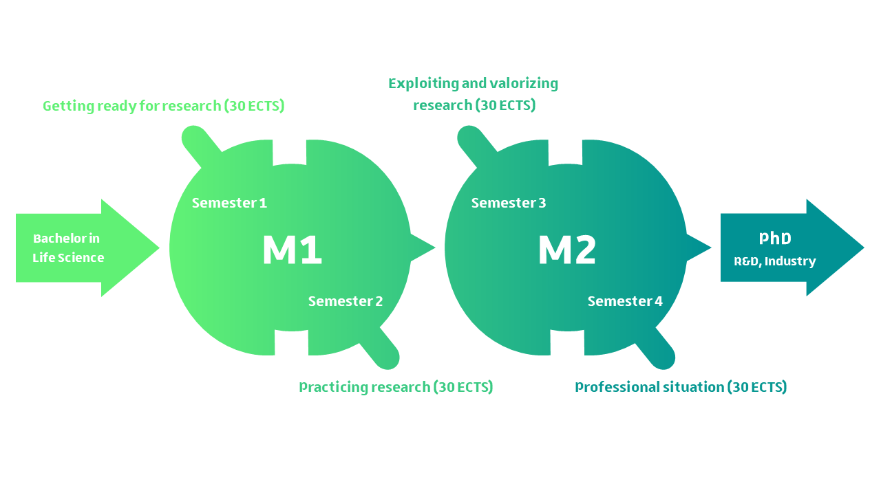 IMCBio Training Program | IMCBIO